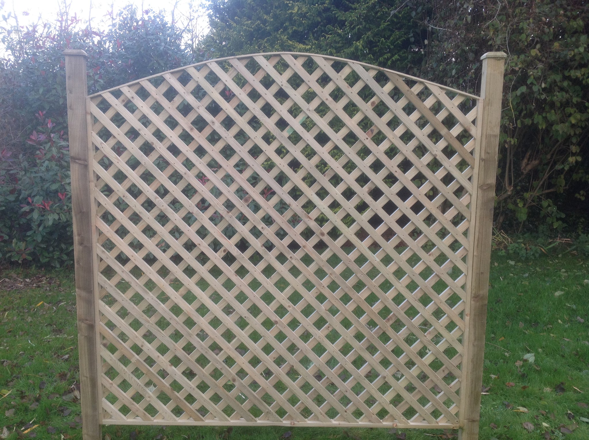 Convex/Concave Diamond 2" Gap Trellis - Abwood.ie